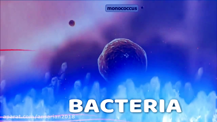 Microbiology: Bacteria Structure and Function | 3D Animation View