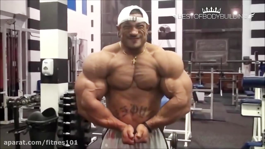 Top 6 Best Arms Ever - Biceps and Triceps That Look Like Mountains