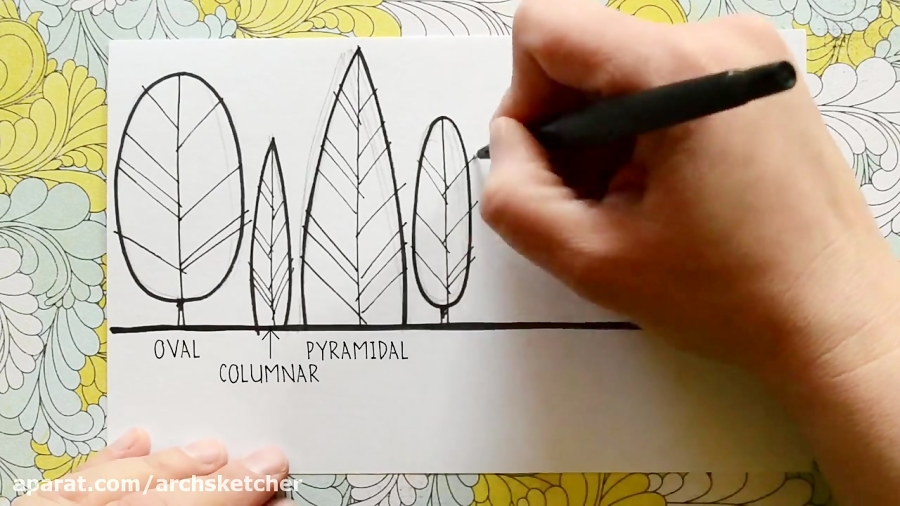 Drawing Tree Forms