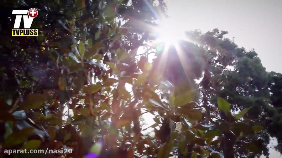 Naser Cheshm Azar - اشک های بی امان همسر ستاره موسیقی ایران در آخرین وداع