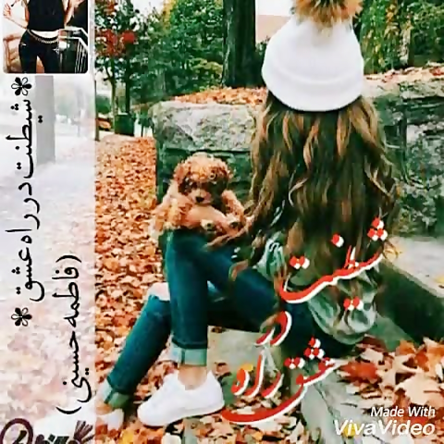 18 تصویر از رمان های فوریو.