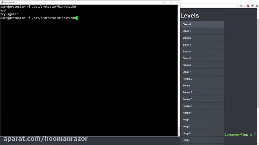 First Stack Buffer Overflow to modify Variable - bin 0x0C