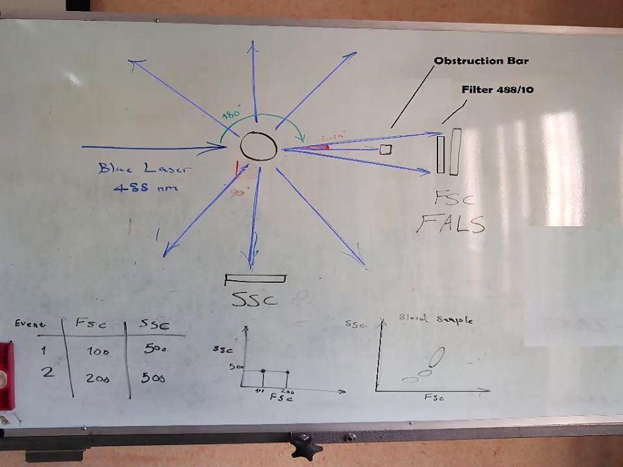 2nd Day-Part 1- Optical measurments