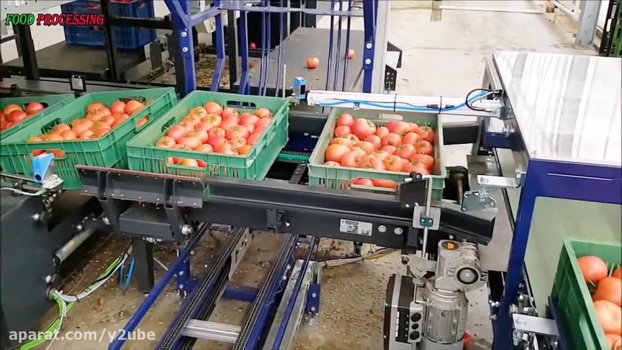 Extreme Fast Automatic Tomato Processing Line, Amazing Food Processing ...