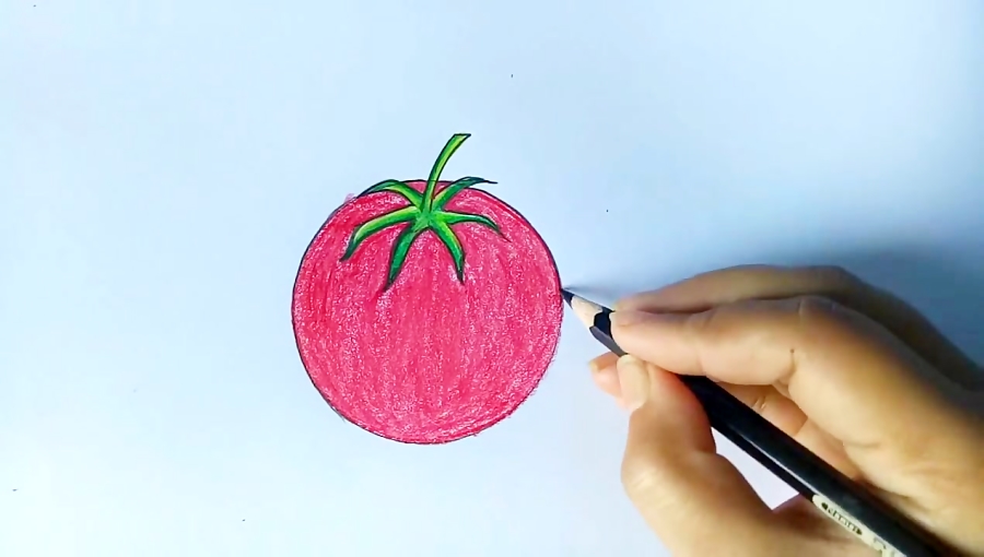 How to draw a tomato step by step (very easy)