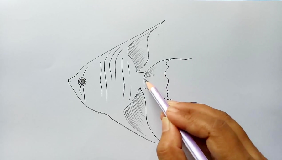 How to draw Rupchanda step by step ( very easy )