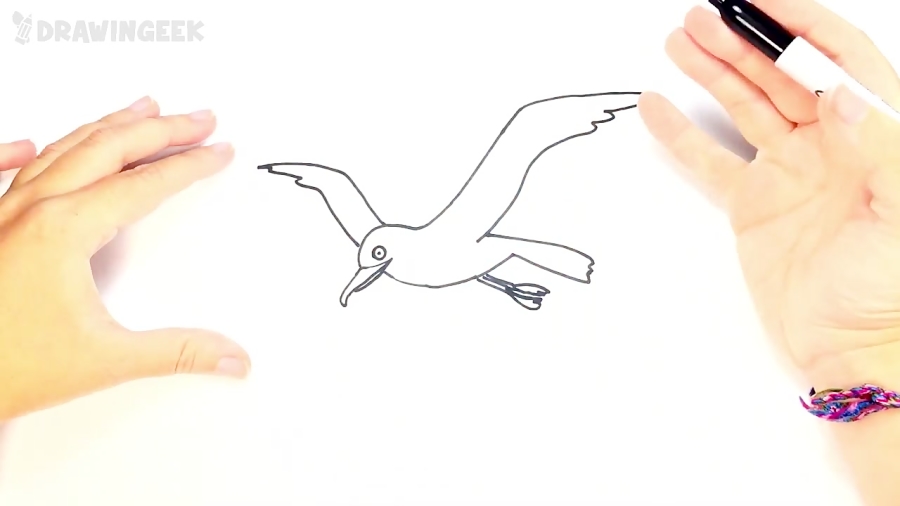 How to draw a Seagull | Seagull Easy Draw Tutorial