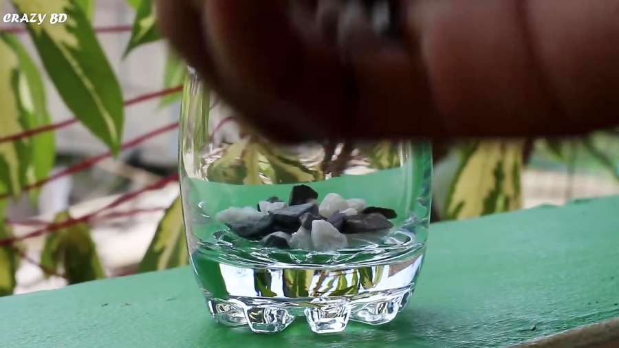 How to make an mini Aquarium at home