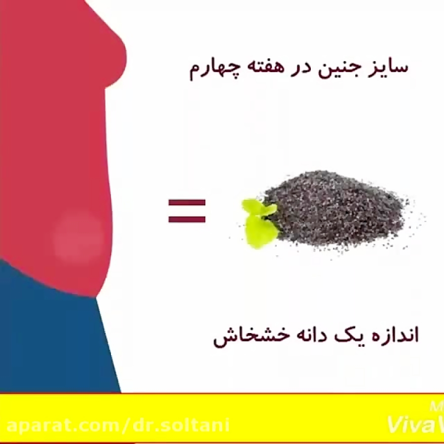 تغییرات بدن در بارداری