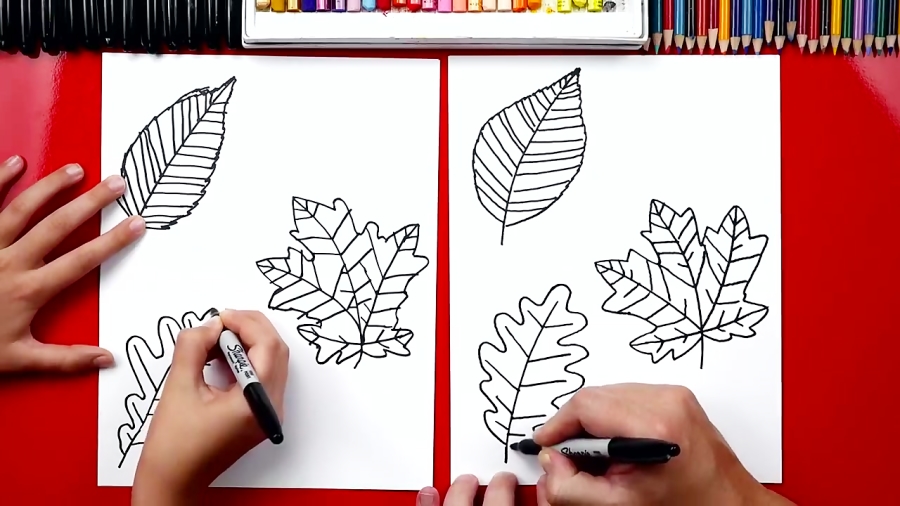 How To Draw Fall Leaves