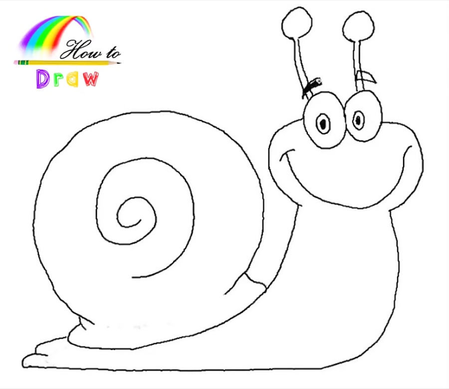 How to Draw a Snail Easy Step by Step