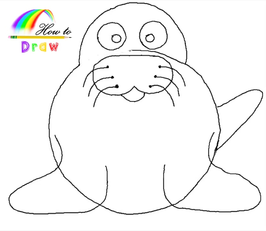 How to Draw a Seal Easy Step by Step