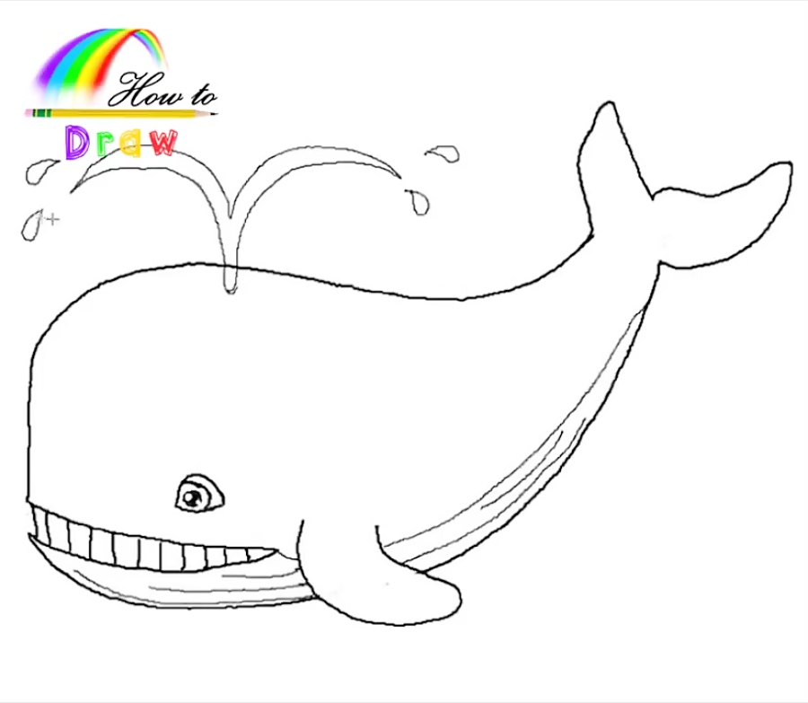 How To Draw A Whale Easy Step By Step at Sebastian Belbin blog