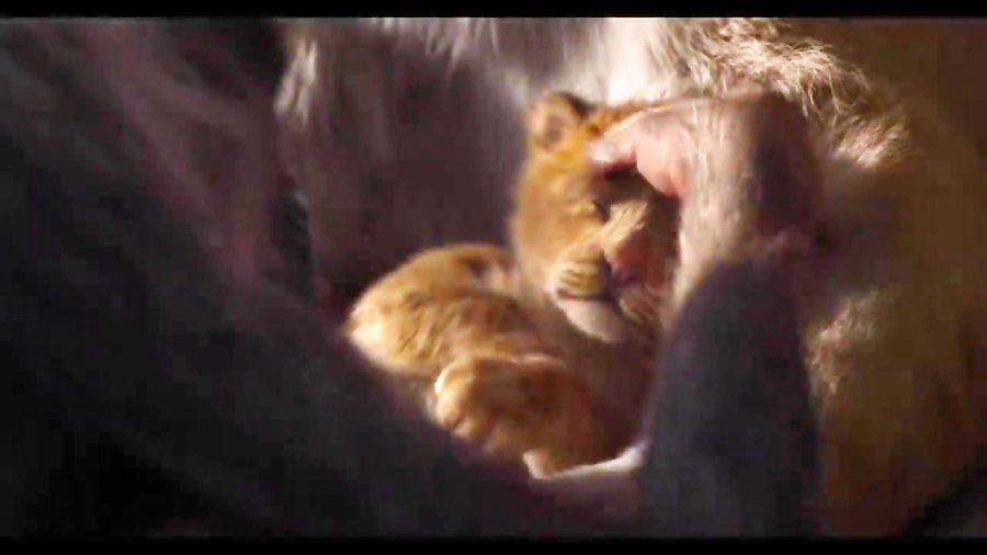 تیزر تریلر فیلم The Lion King 2019