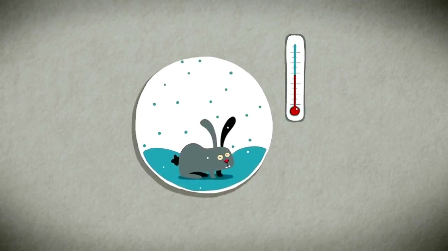 The three different ways mammals give birth - Kate Slabosky