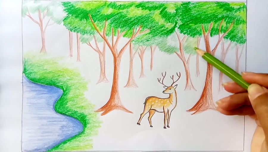 How to draw forest scene Step by step (very easy)