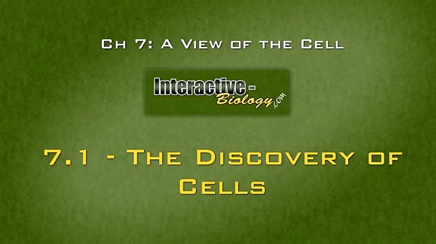 The Discovery of Cells