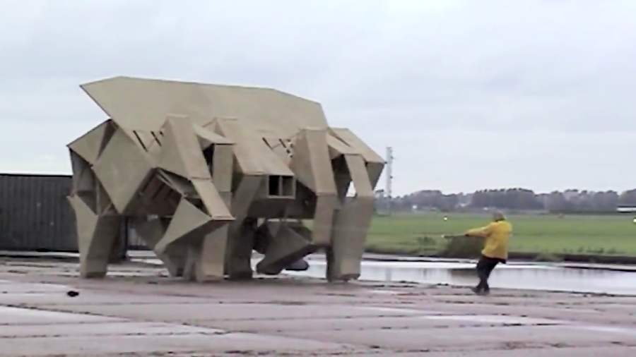STRANDBEEST EVOLUTION 2017