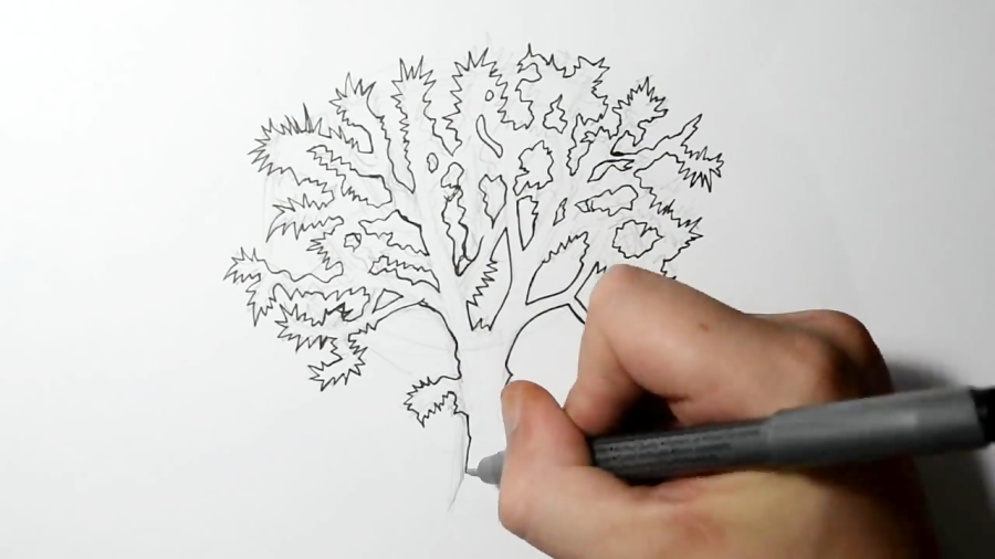 How to Draw a Joshua Tree - Silhouette Design