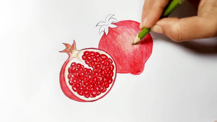 How to draw Pomegranate. Step by step (Very easy draw)