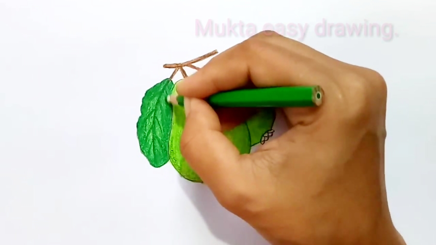 How to draw Guava for kids.Step by step(easy draw)