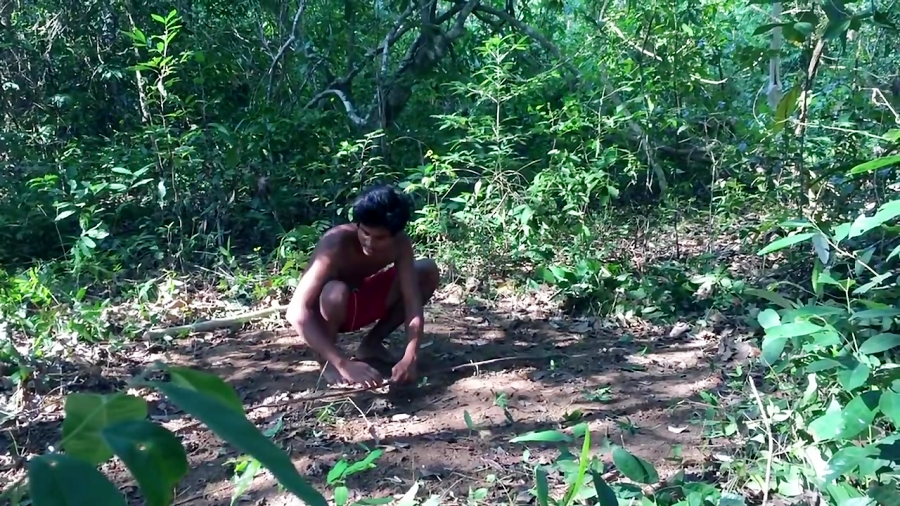 Secret Of Primitive: Building House By Using Leaves