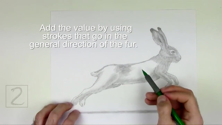 How to Draw a Hare