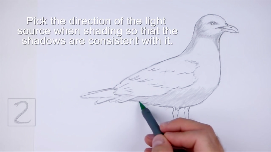 How to Draw a Seagull