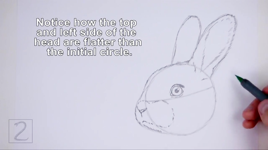How to Draw a Rabbit (Head Detail)