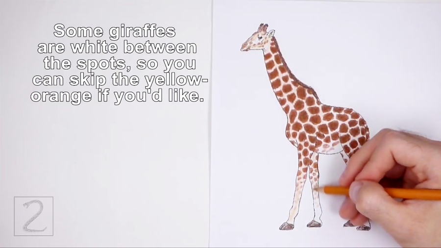 How to Draw a Giraffe (Color)