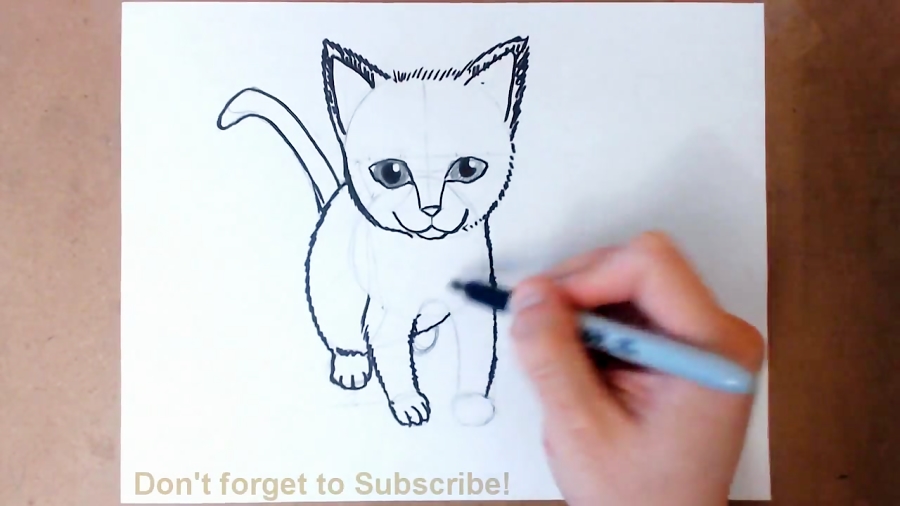 How to Draw Cat Step by Step (version 3 advanced!) Tutorial