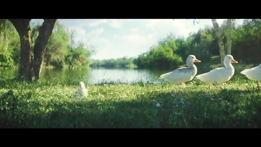 Disneyland Paris - The little duck