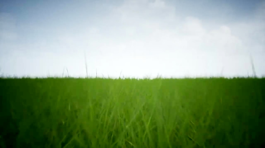 SPEEDTREE | Create low poly grass