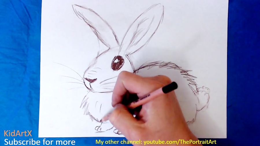 How to Draw / Sketch a Rabbit - Step by Step Tutorial