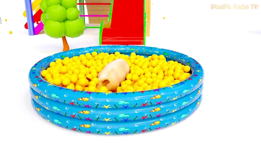 Animals Ball Pit Show for Children