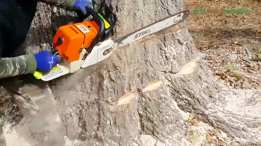 Extreme Dangerous Biggest Tree Felling ¦¦ Amazing Fastest Trees Cutting ...