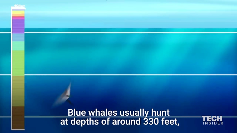 This Incredible Animation Shows How Deep The Ocean Really Is