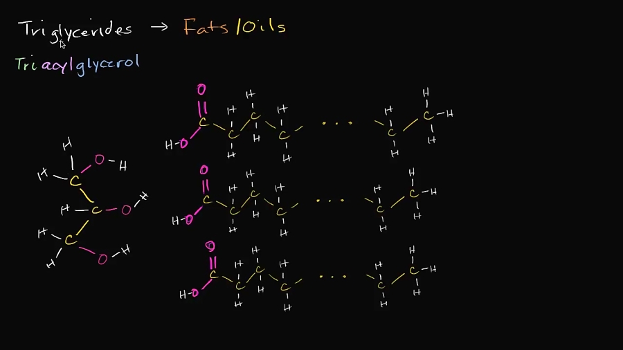 Molecular structure of triglycerides (fats) | Biology | Khan Academy
