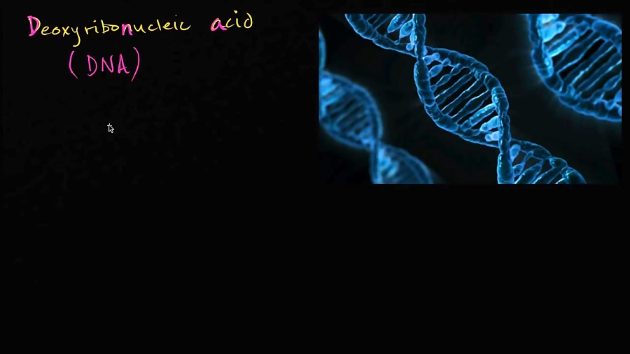 Dna Biomolecules Mcat