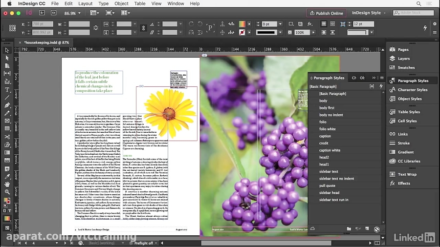 دوره ﻿InDesign - سبک های خانهداری