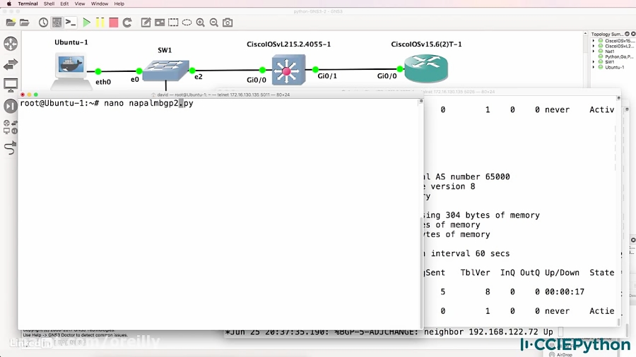 کورس ﻿CCIE Python - همسایگان BGP چندگانه