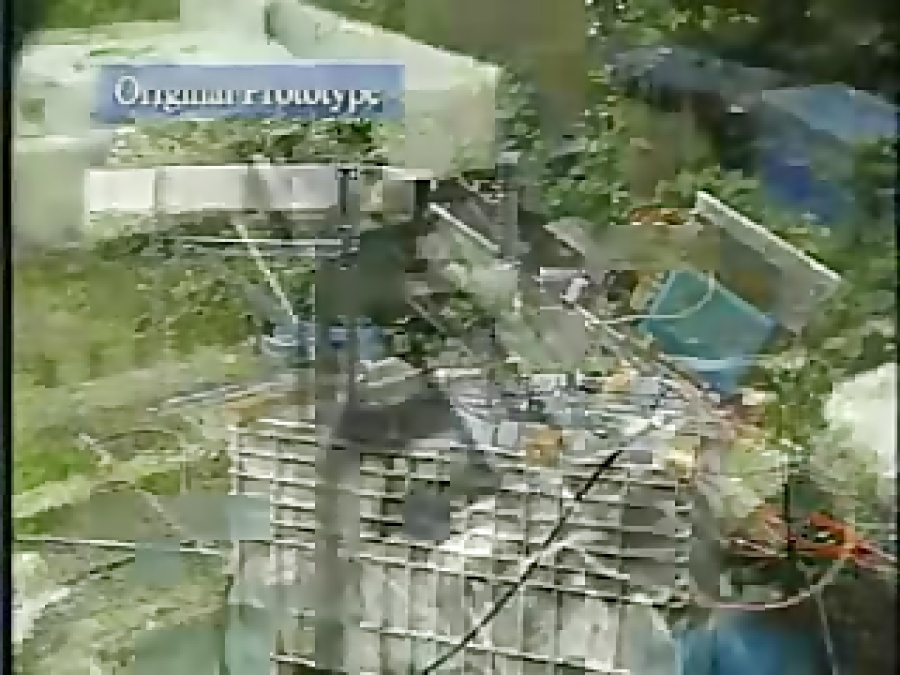 Fish sorting using machine vision