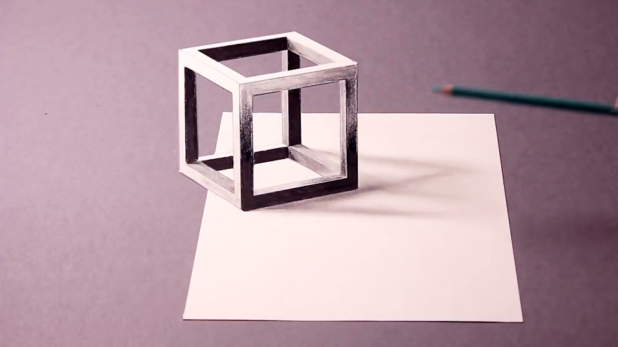 How to Draw 3D Box Illusion - Brain Test with Bruce Lee the Dog!