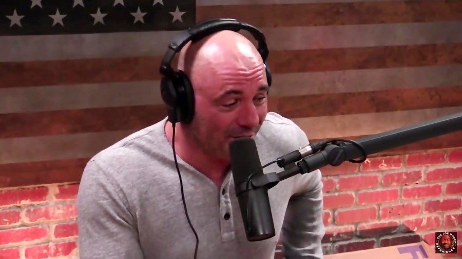 Best of the Week - March 31, 2019 - Joe Rogan Experience