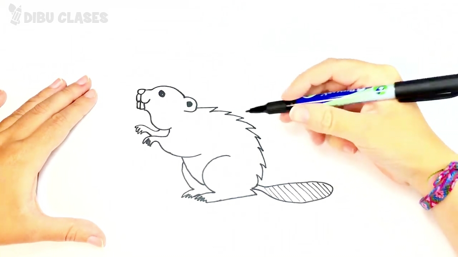 Cómo dibujar un Castor paso a paso | Dibujo fácil de Castor