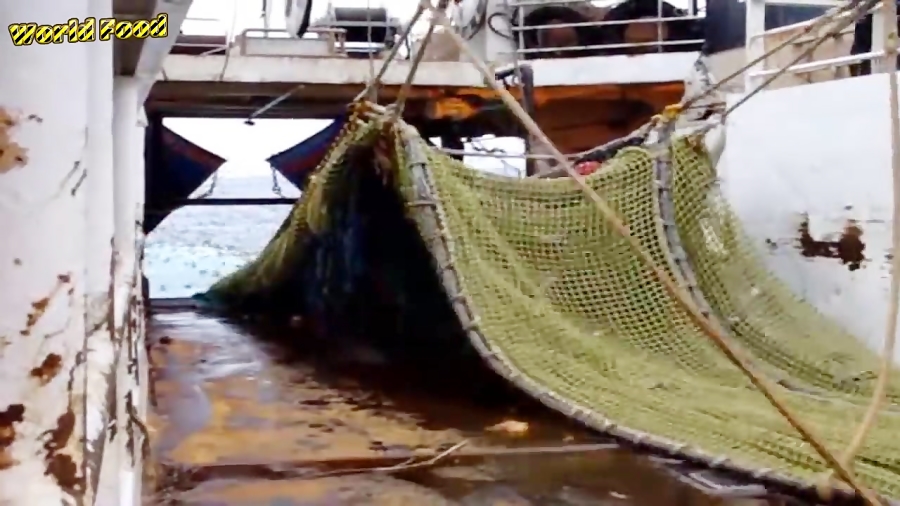 Big Catch Fishing in The Deep Sea With Big Boat - Amazing Modern Fish