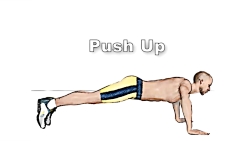 Spartans Push Up