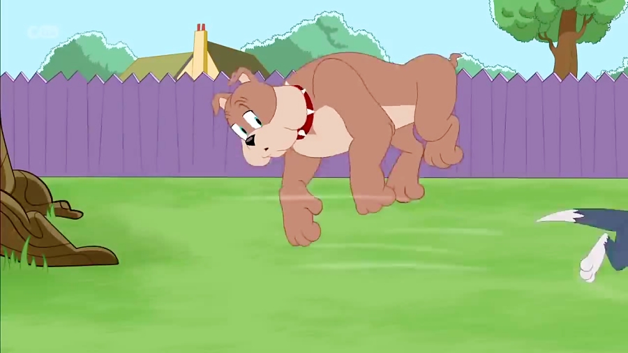 Tom And Jerry Show - Anger Mismanagement