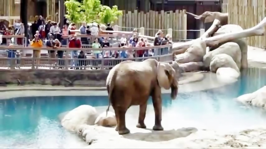 بزرگترین باغ وحش های جهان