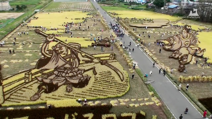 Amazing Murals Were Grown from Rice - Rice Paddy Art Cultivation Only ...